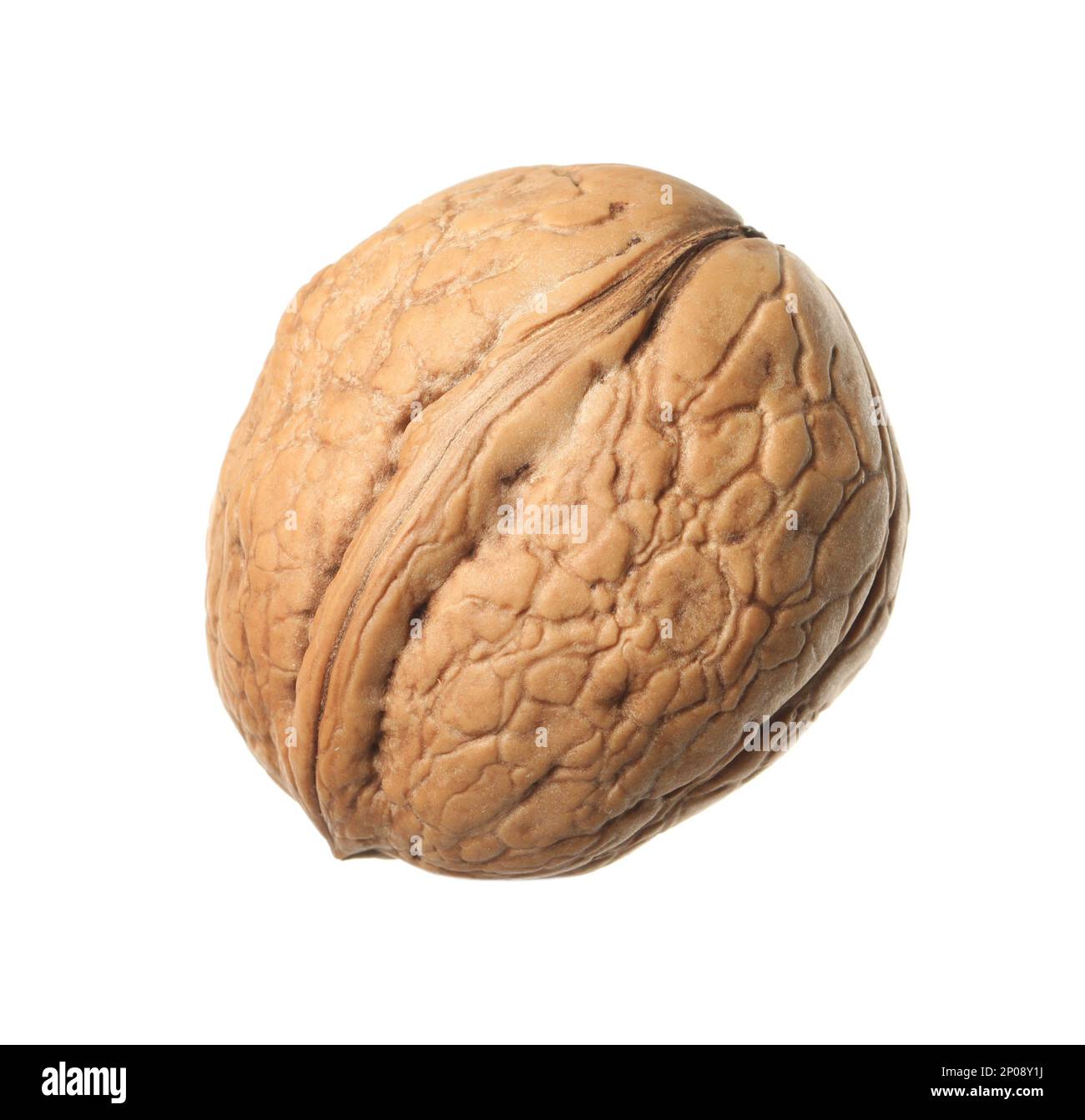 Whole walnut in shell isolated on white Stock Photo - Alamy