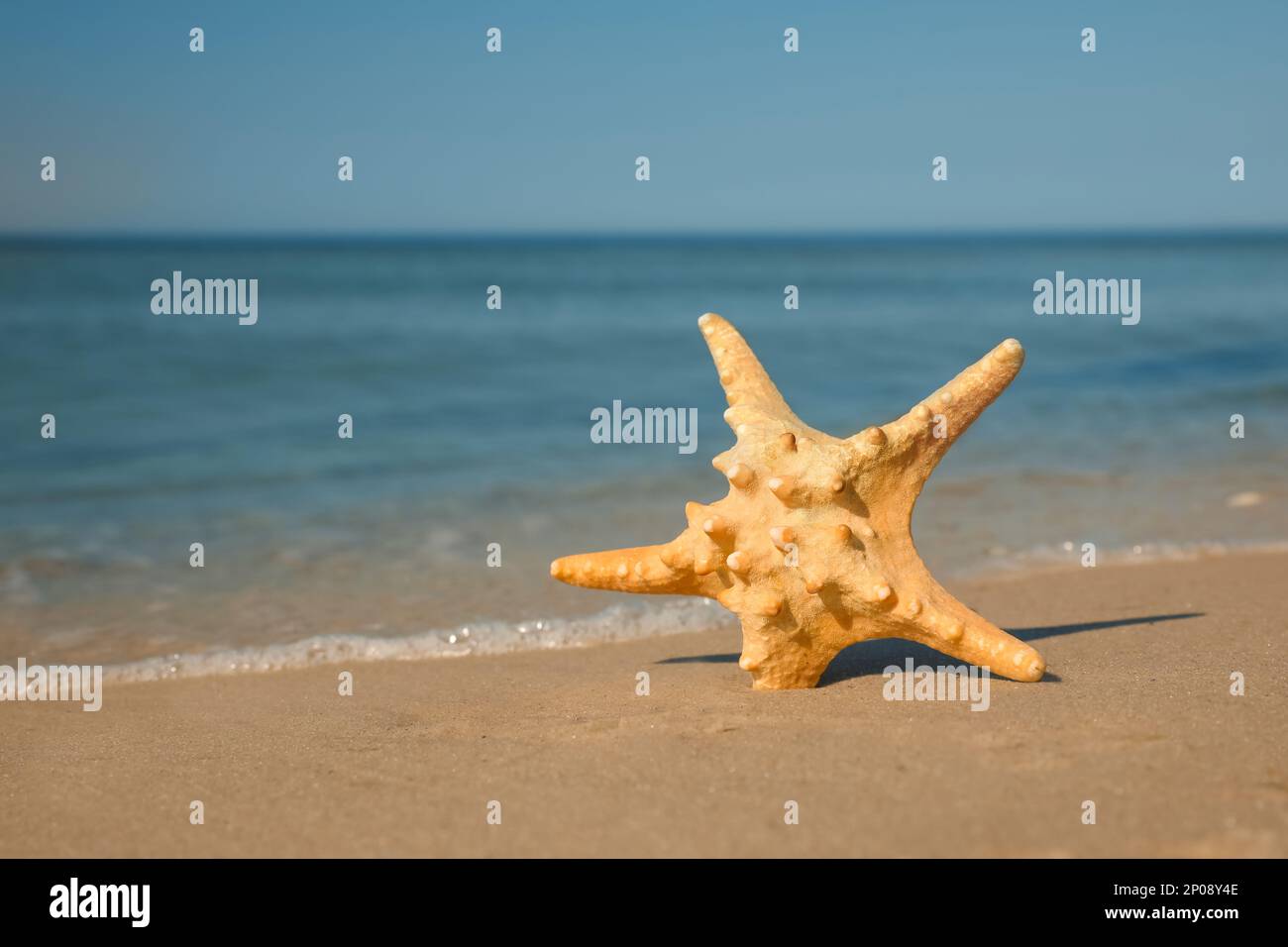 Beautiful sea star in sand on beach, space for text Stock Photo - Alamy
