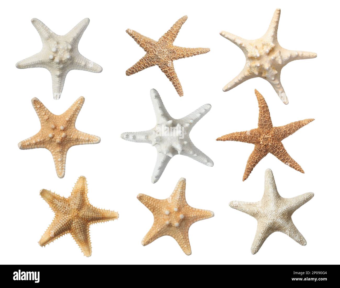 Set with beautiful sea stars on white background Stock Photo - Alamy