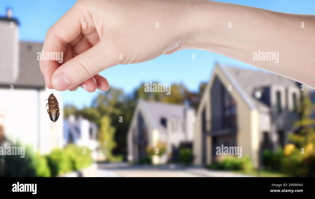 Woman holding dead cockroach and blurred view of modern houses on ...