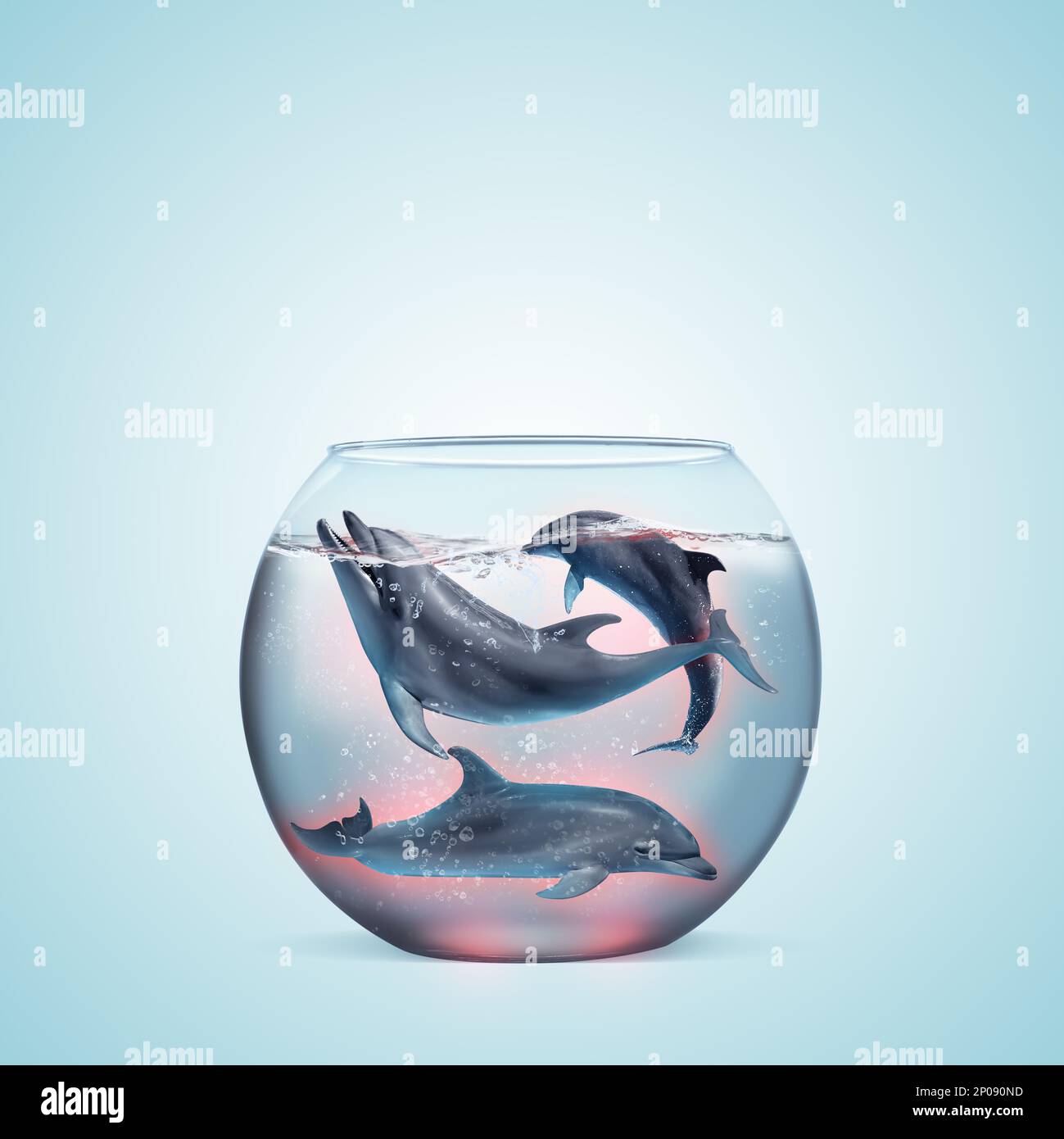 Dolphins in glass aquarium on light blue background. Anti-Captivity ...