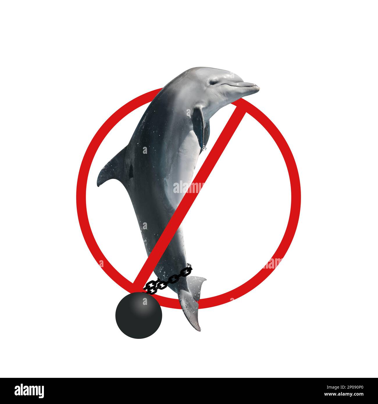 Sad Dolphins In Captivity