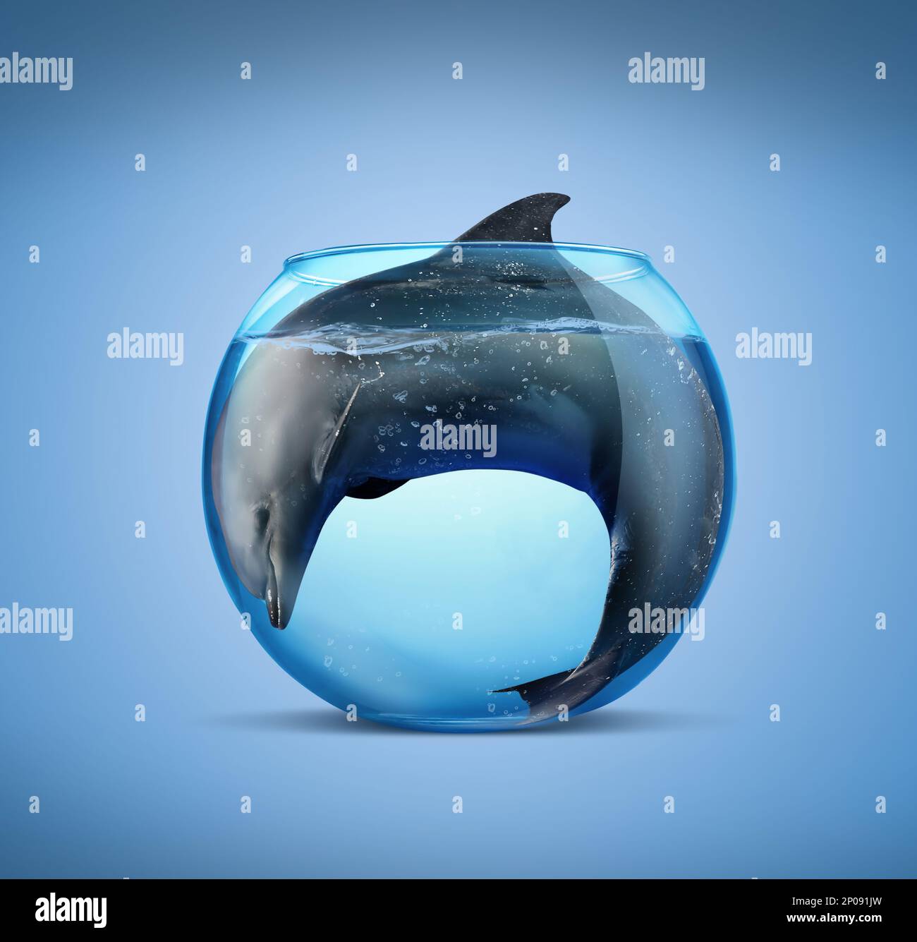 Dolphin in glass aquarium on light blue background. Anti-Captivity ...