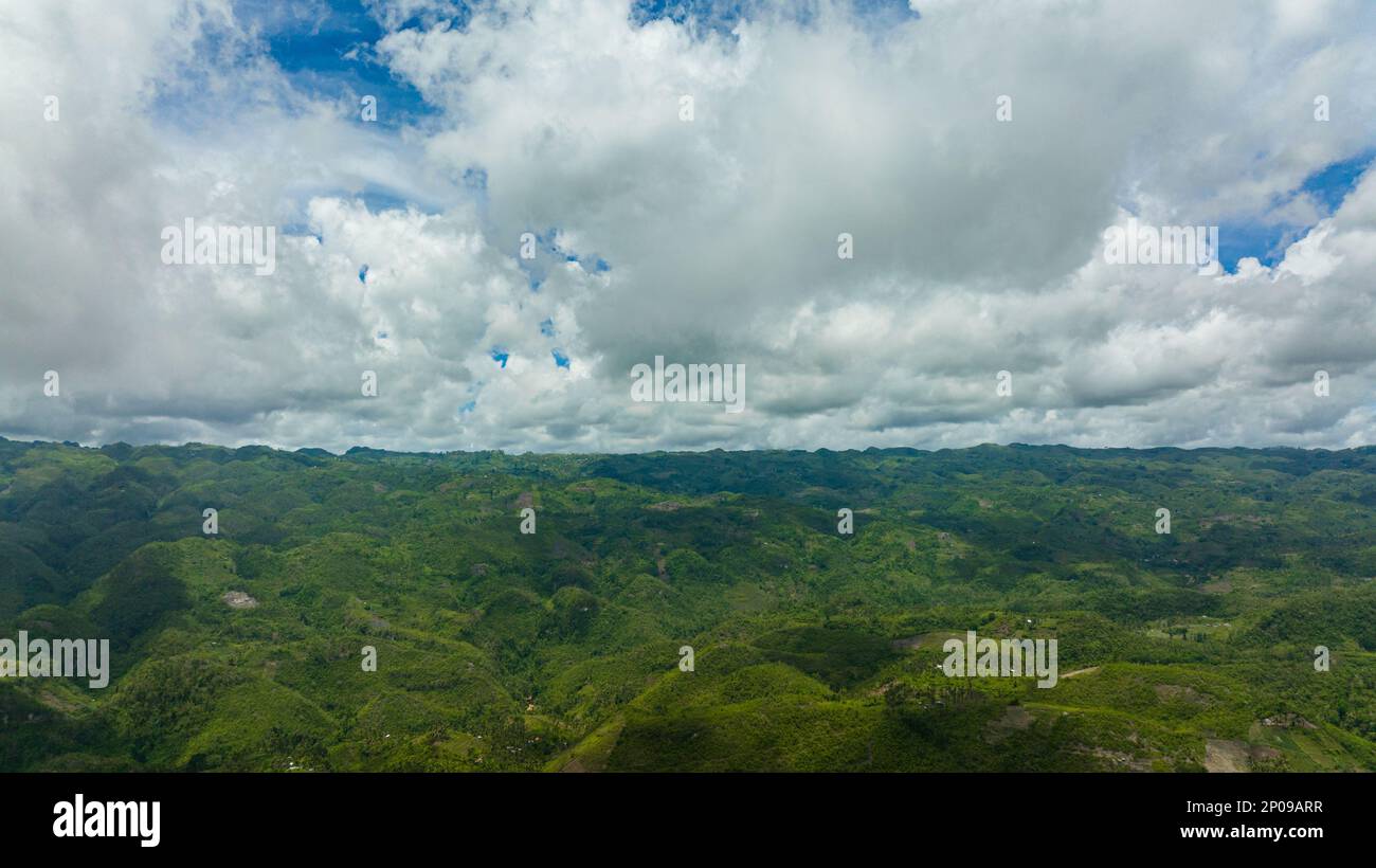 Aerial drone of the jungle and rainforest to the sea. Cebu, Philippines ...