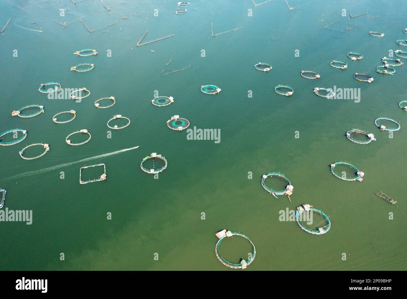 Fish ponds for bangus, milkfish. Farming aquaculture or pisciculture ...