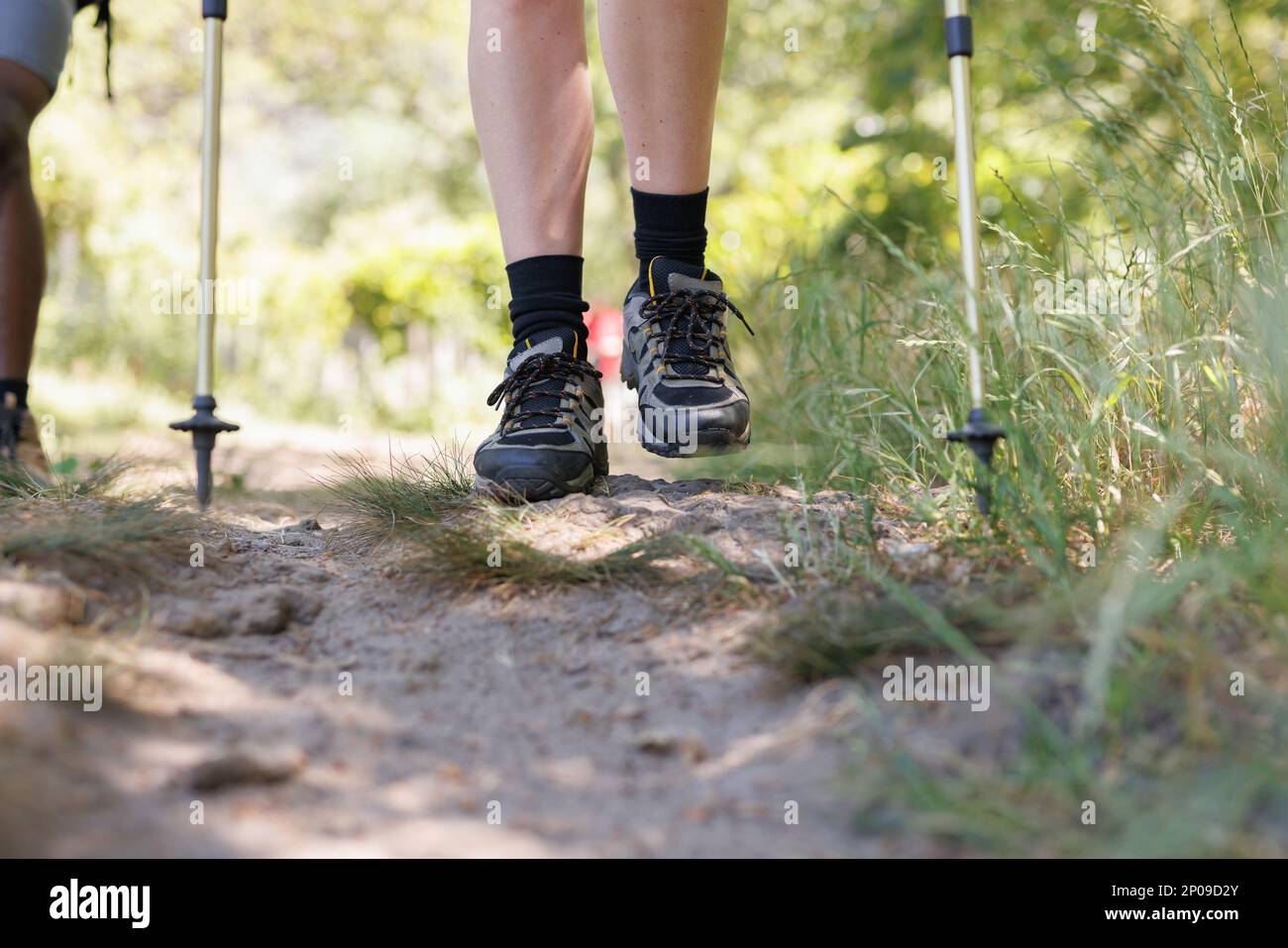 Using hiking poles hi-res stock photography and images - Alamy