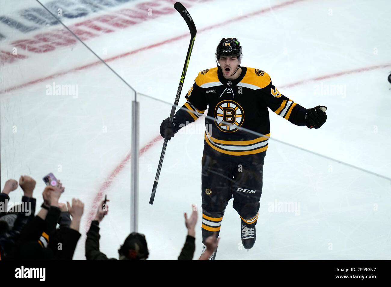 Boston Bruins forward Jakub Lauko celebrates after his goal against the ...