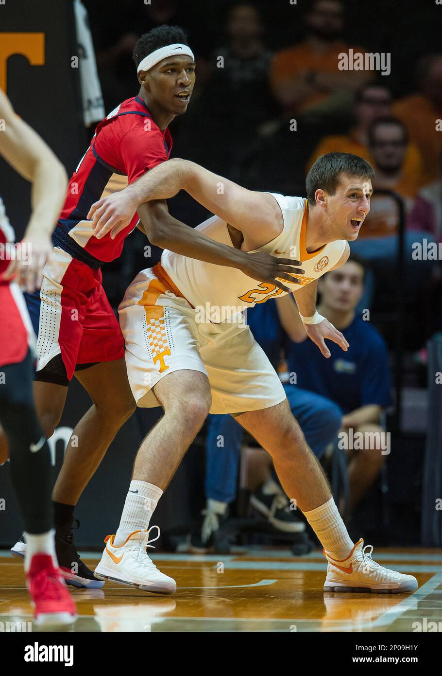KNOXVILLE, TN - FEBRUARY 08: Tennessee Volunteers forward Lew Evans (21 ...