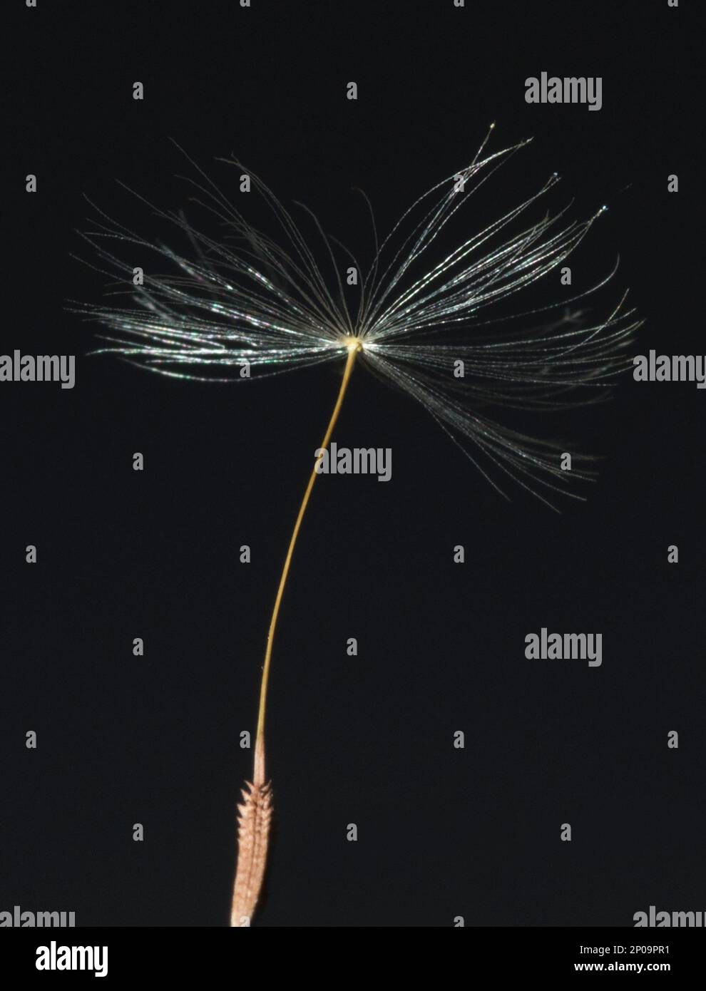 Spring season 2023 hi-res stock photography and images - Alamy