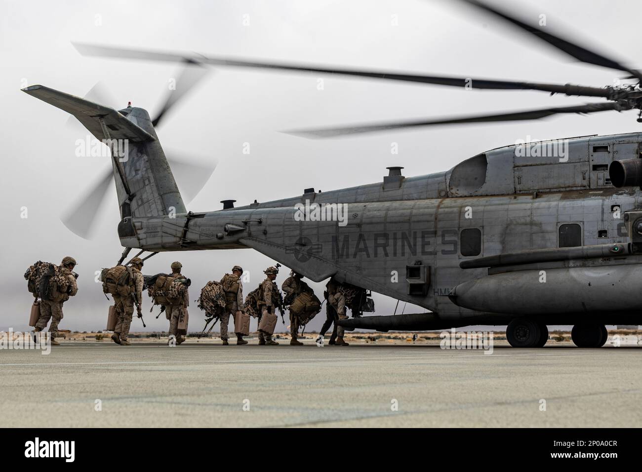 U.S. Marines with Fox Company, 2nd Battalion, 7th Marine Regiment (REIN ...