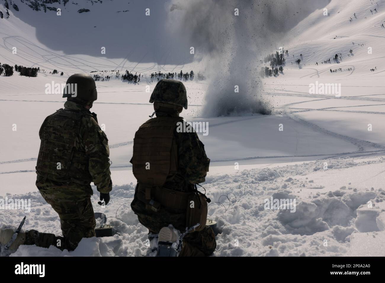 U.S. Army Spc. Nico Sedita, a combat engineer with Sapper Company, 6th ...