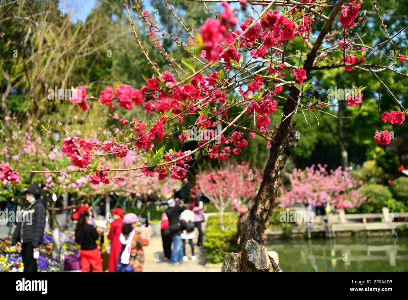 **CHINESE MAINLAND, HONG KONG, MACAU AND TAIWAN OUT** People enjoy ...