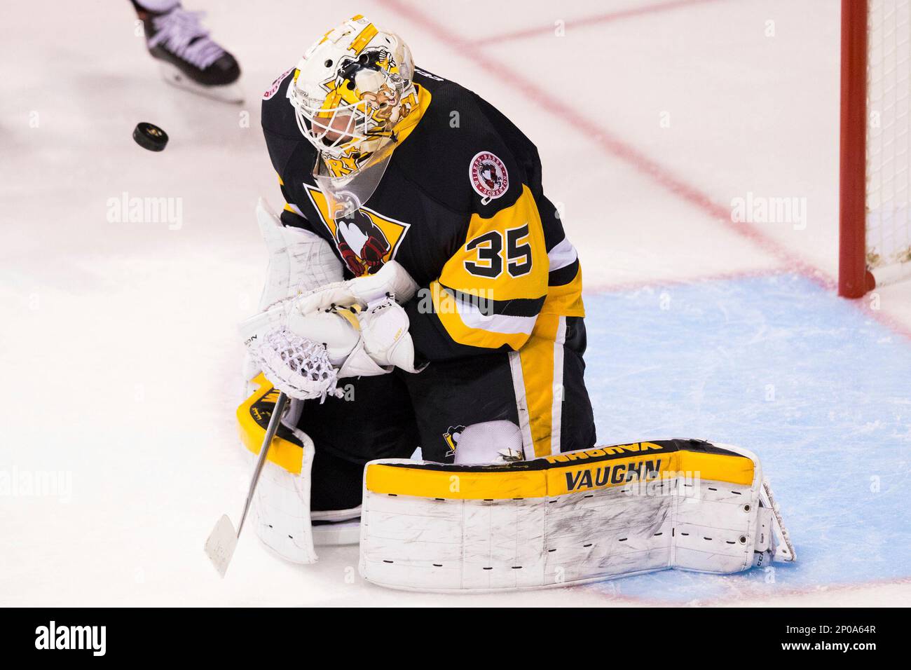 FILE- In this Jan. 3, 2017, file photo, Wilkes-Barre/Scranton Penguins ...