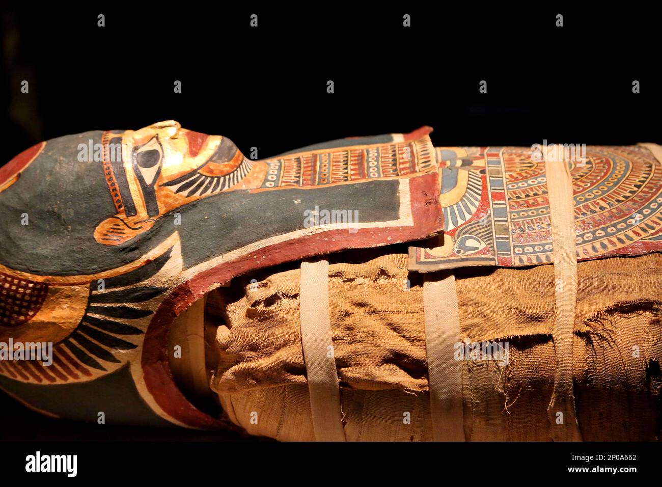 The Museum of Discovery and Science has a new exhibit Lost Egypt ...