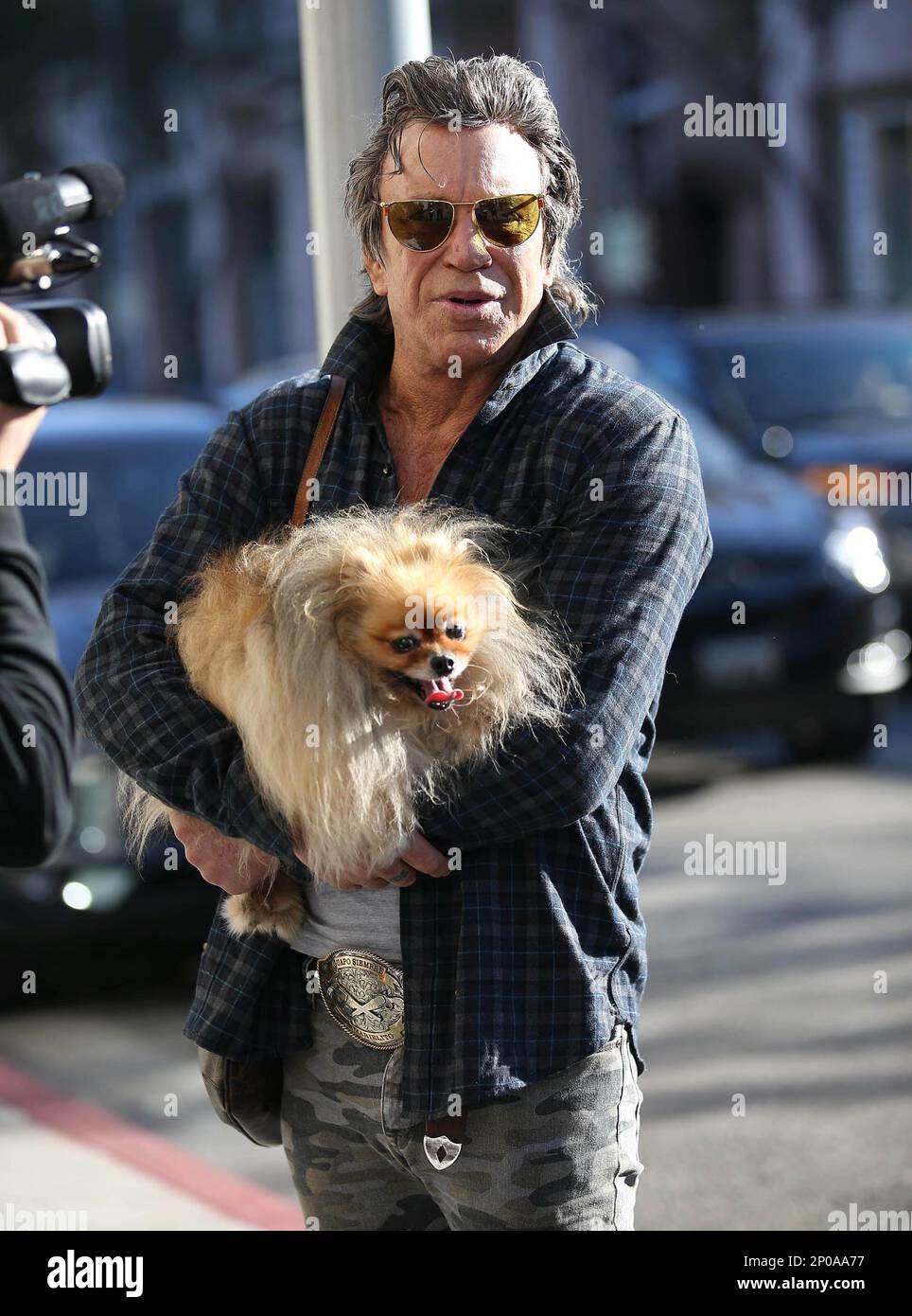Photo by: STRF/STAR MAX/IPx1/31/17Mickey Rourke is seen in Los Angeles ...