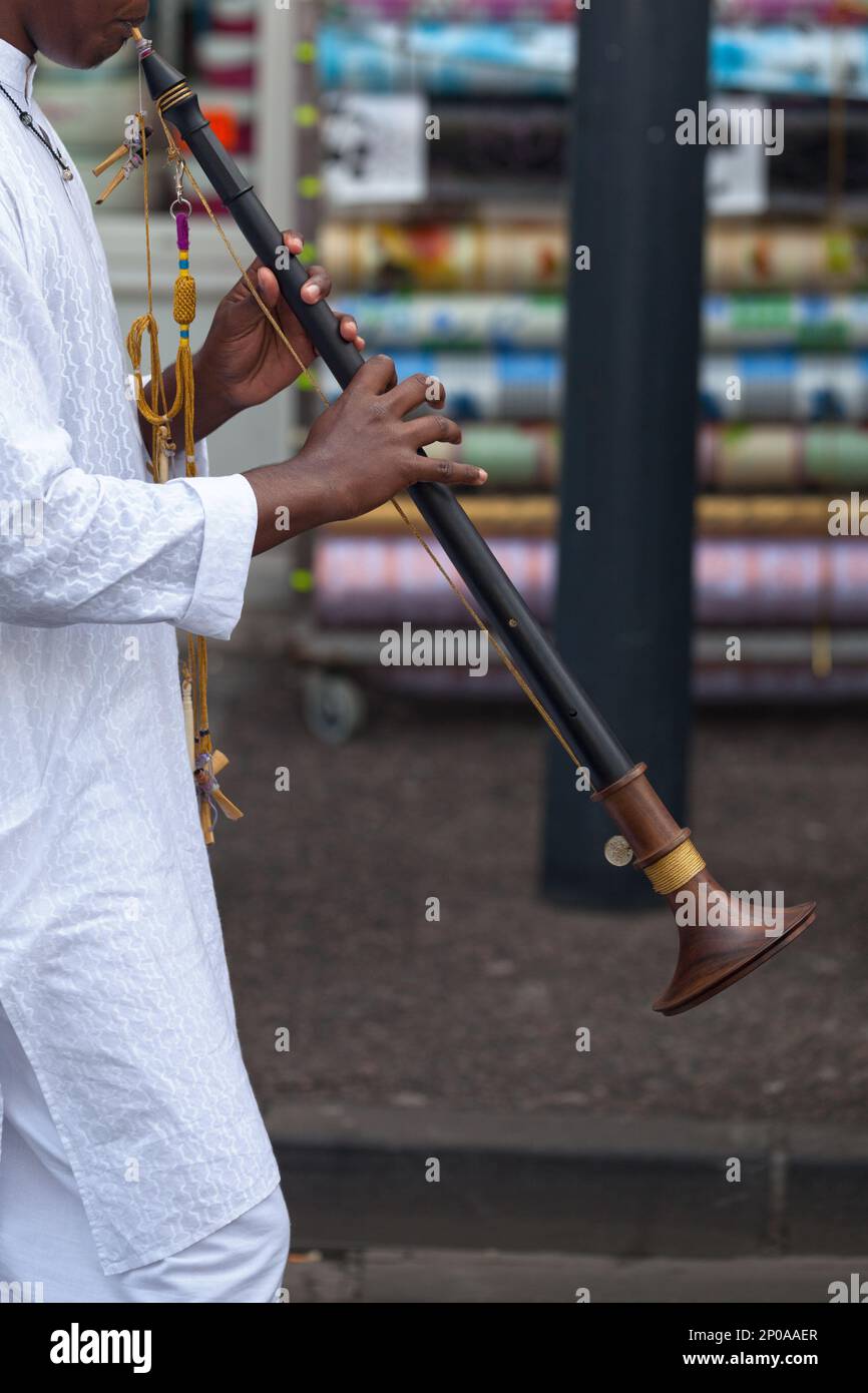 Musician playing with a nadaswaram during a Tamil festival Stock Photo ...