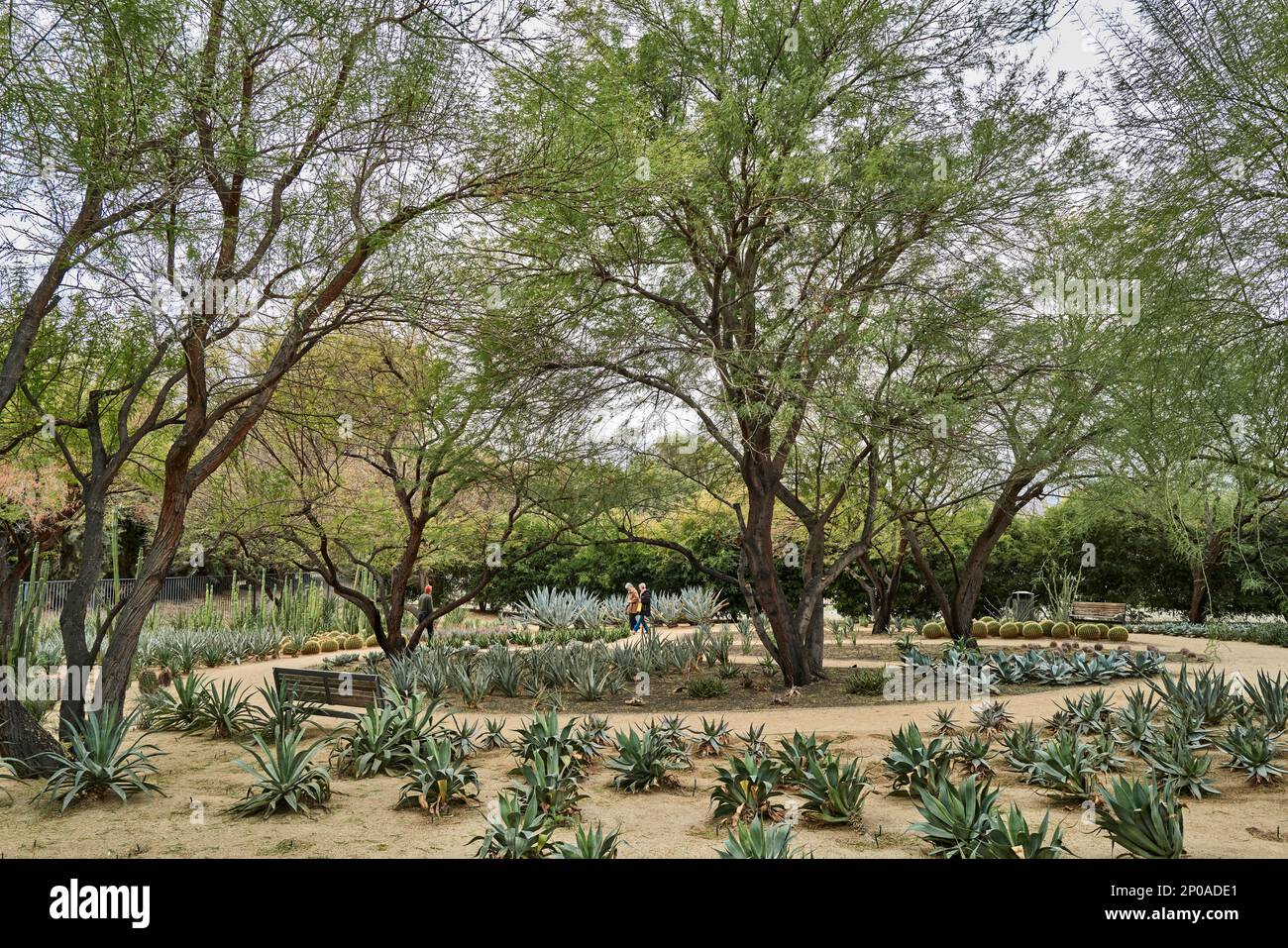 Sunnylands Estate in Palm Springs CA Stock Photo - Alamy