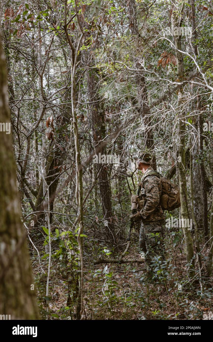 A U.S. Marine with 2d Light Armored Reconnaissance Battalion, 2d Marine ...