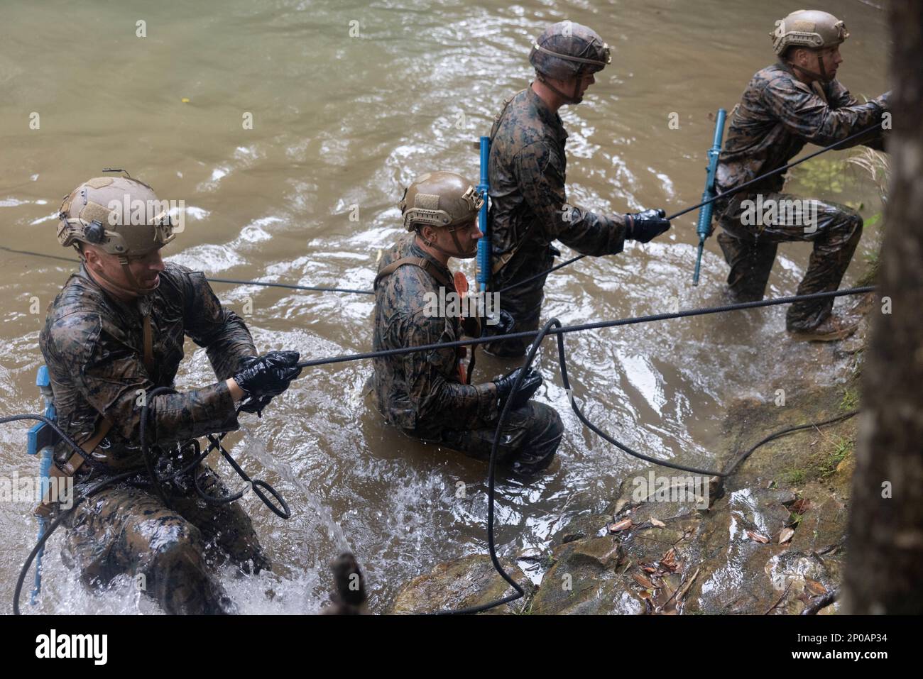 U.S. Marines with 3rd Battalion, 4th Marines, 3d Marine Division move ...