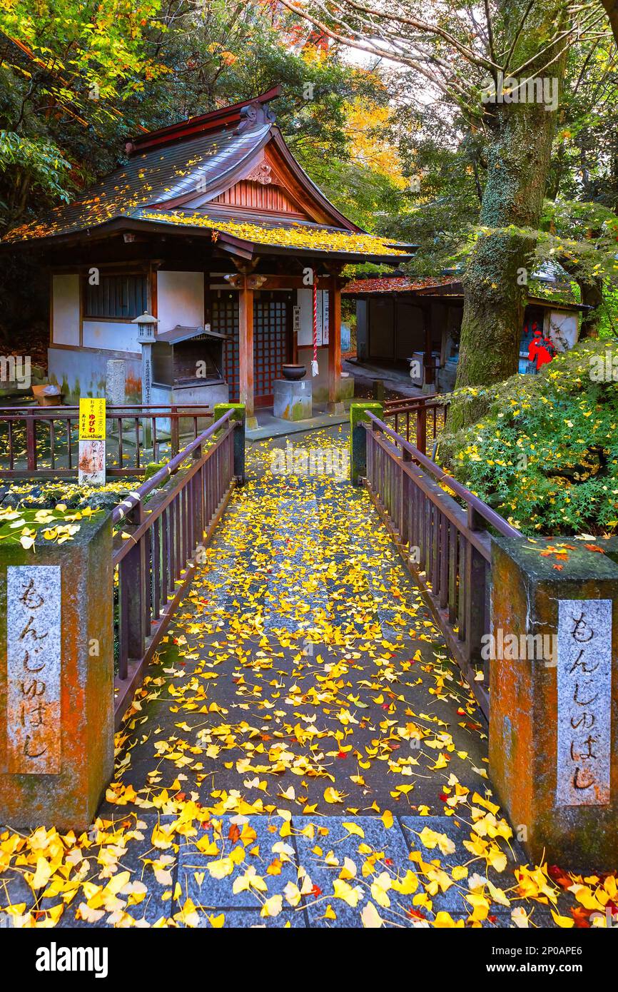 Fukuoka, Japan - Nov 21 2022: Nanzoin Temple in Fukuoka is home to a ...