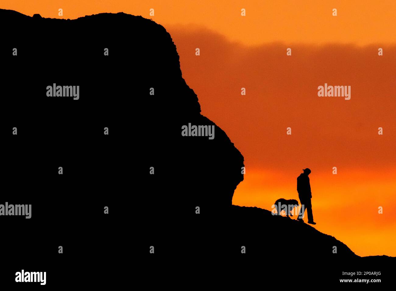 A man and a dog are silhouetted against the sky at sunset as they hike ...