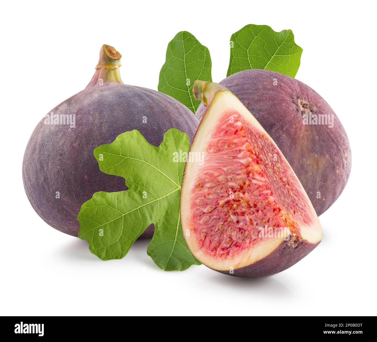Fresh figs leaves on Cut Out Stock Images & Pictures - Alamy