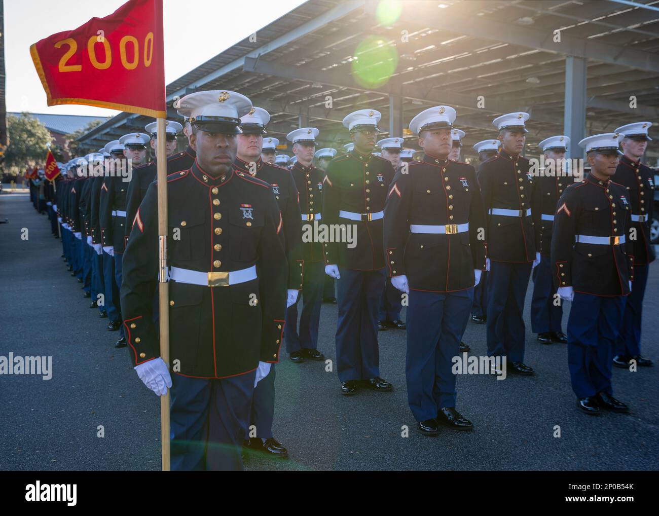 U.S. Marine Corps Pfc. Landis R. Johnson, a native of Albany, Georgia ...