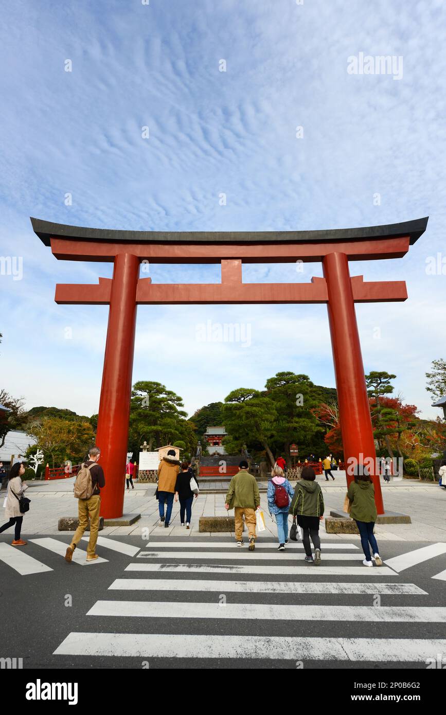 The main Tori ( Shrine gate ) of the Tsurugaoka Hachimangū Shrine in Kamakura, Japan Stock Photo ...