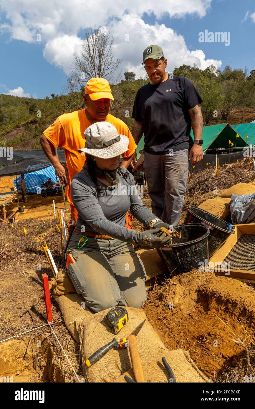 Dpaa forensic anthropologist hi-res stock photography and images - Alamy