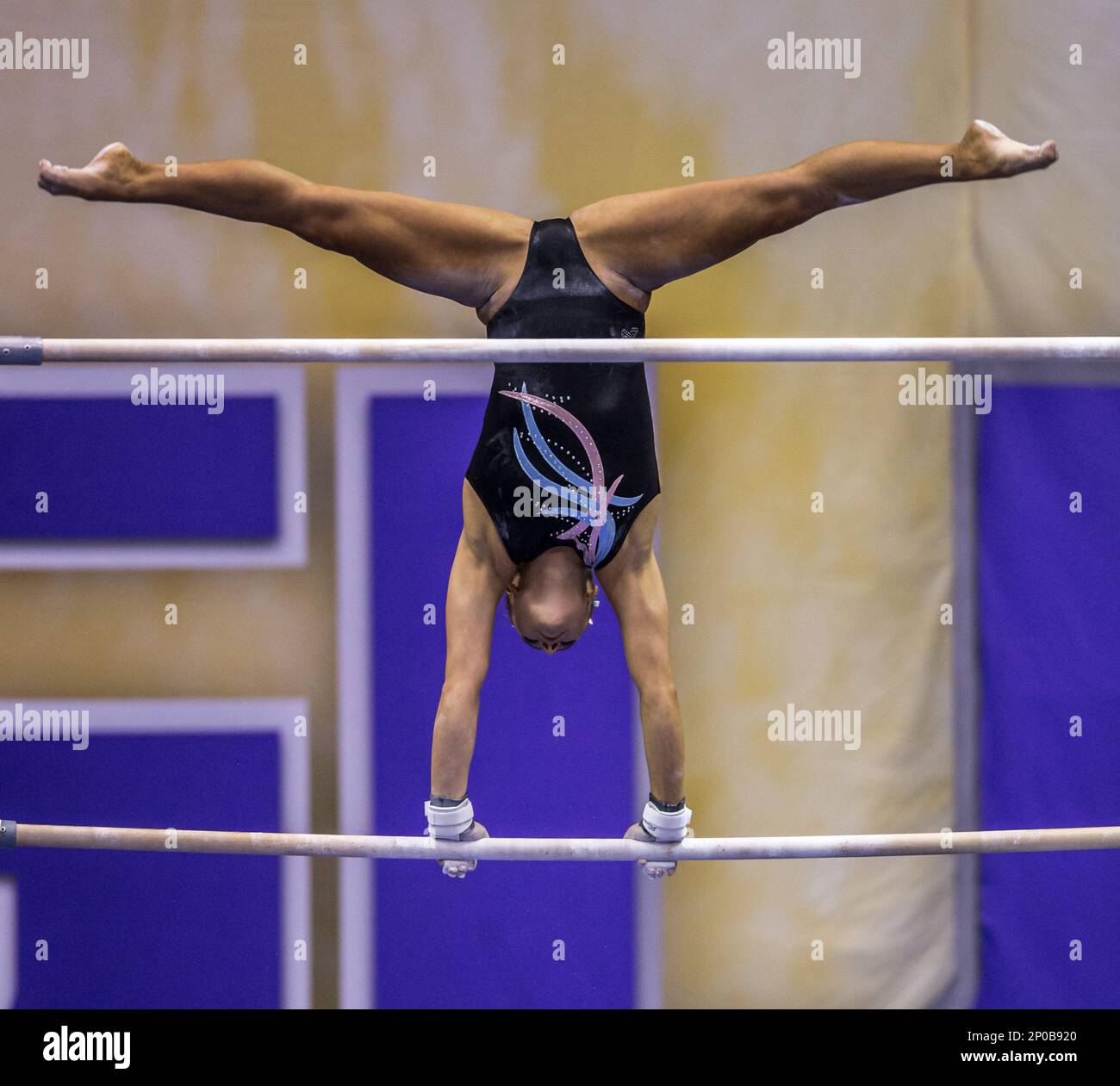 January 20, 2017: LSU Tigers gymnast Lexie Priessman warms up on bars ...