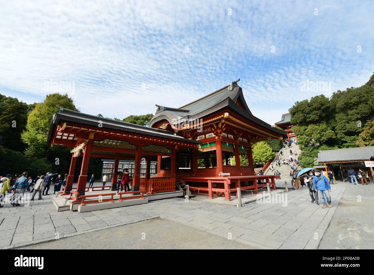Tsurugaoka Hachimangū Shrine in Kamakura, Japan Stock Photo - Alamy
