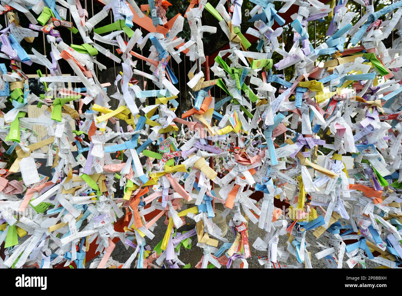 Omikuji paper prayers at the Tsurugaoka Hachimangu shrine in Kamakura ...