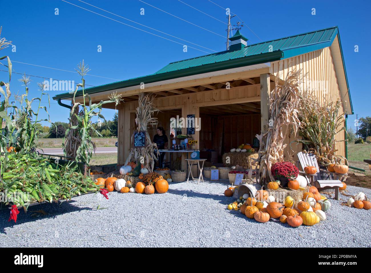 Pumpkin display roadside farm hi-res stock photography and images - Alamy