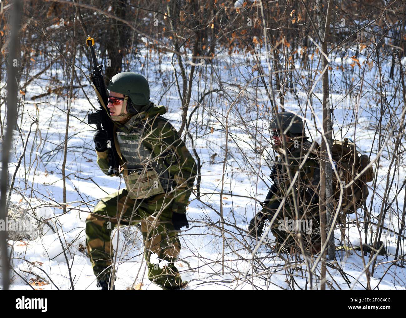 Members of the Norwegian Home Guard conduct a Situational Training ...