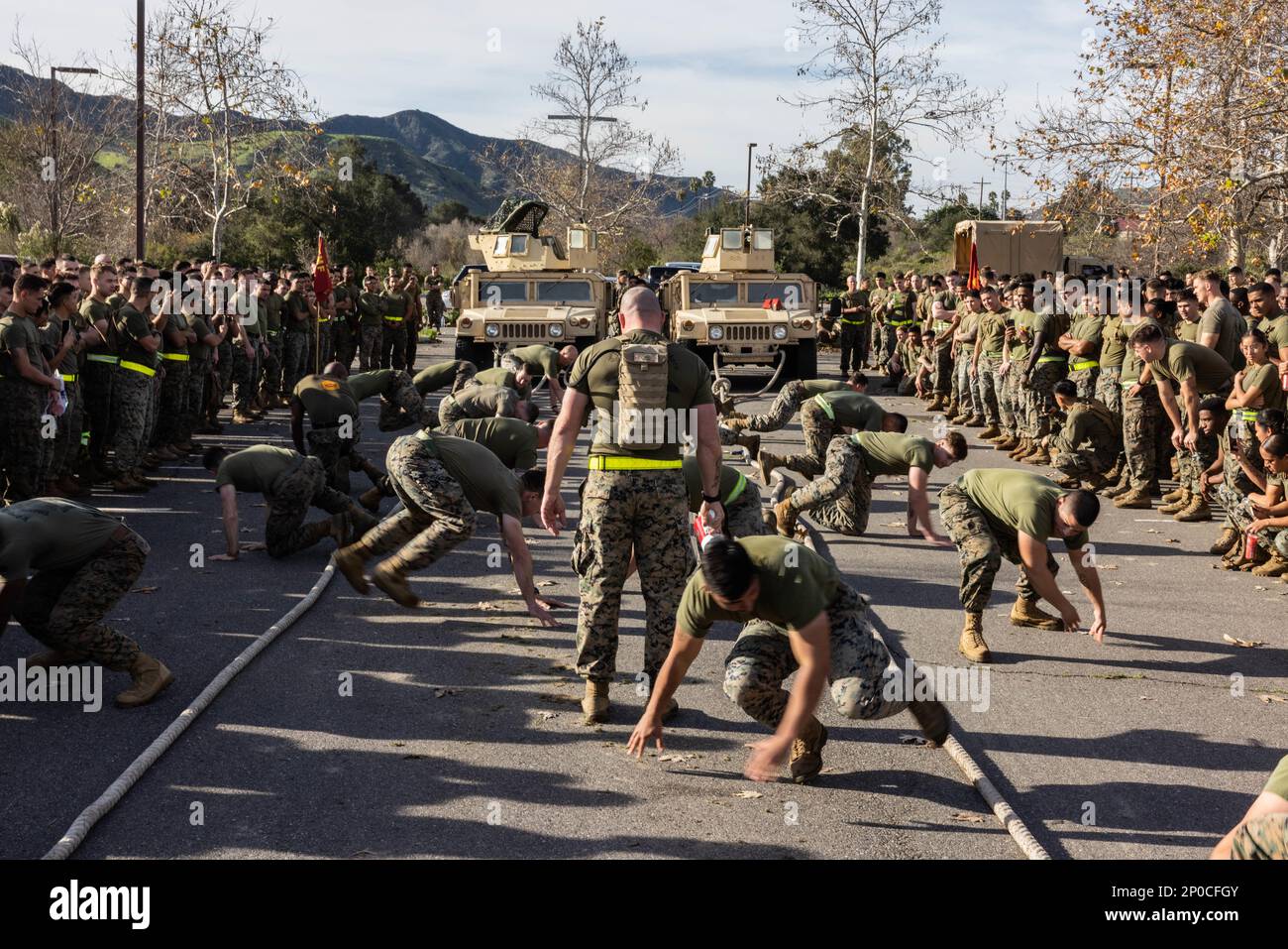 U.S. Marines with 11th Marine Regiment, 1st Marine Division, prepare to ...