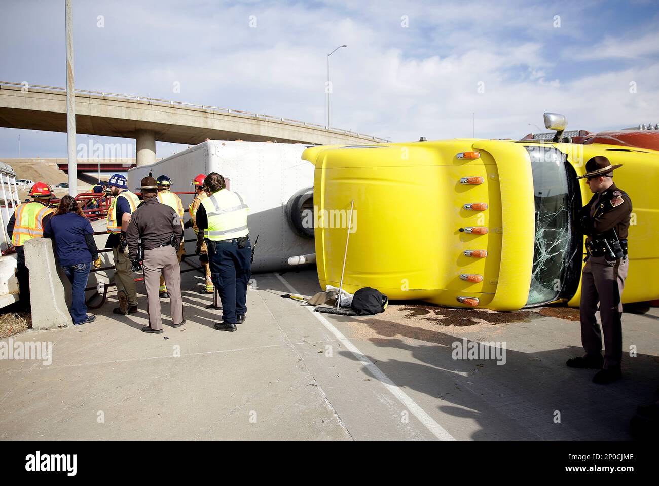 Tulsa firefighters and other emergency personnel wrangle cattle after a ...