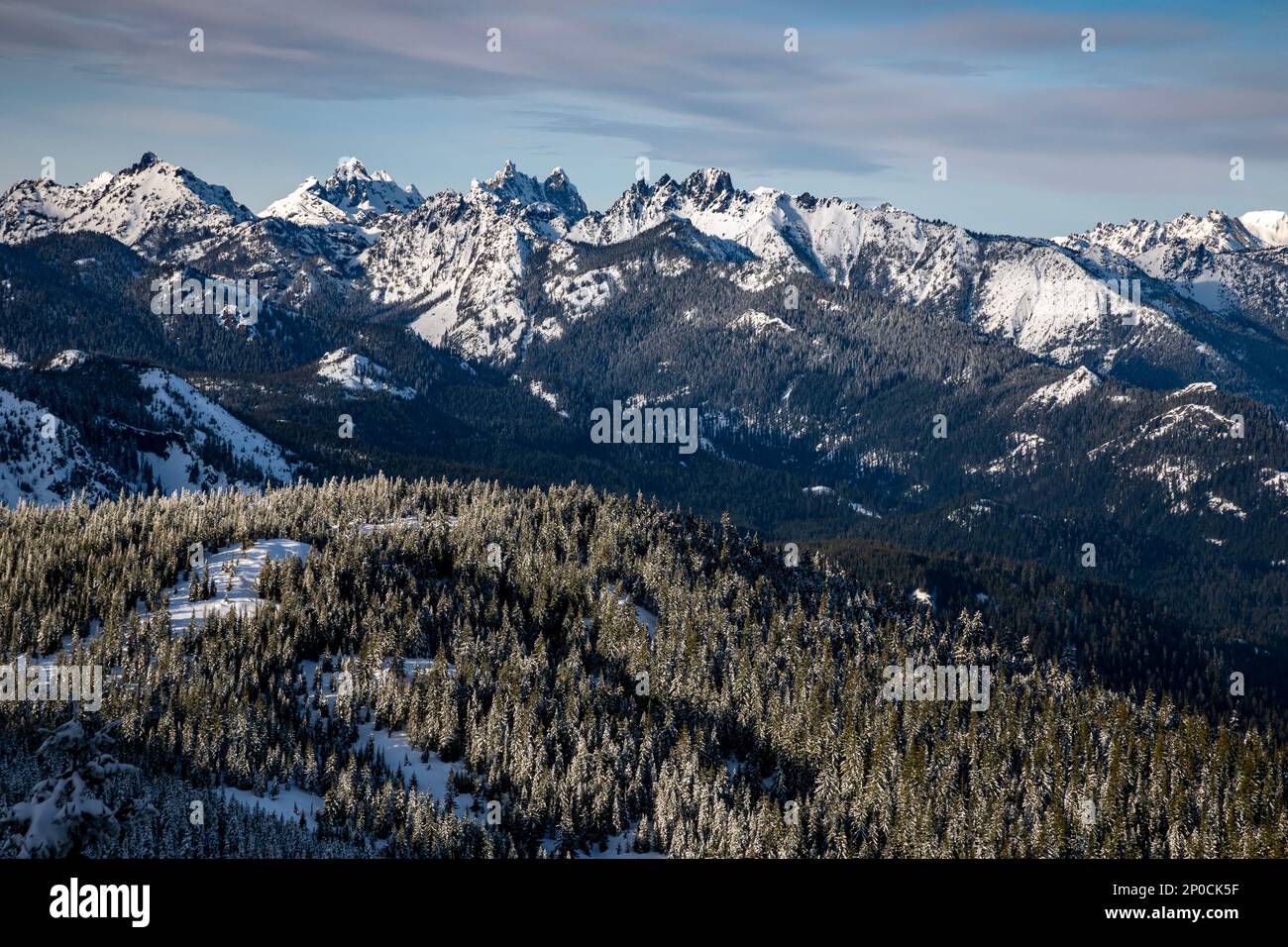 WA23198-00...WASHINGTON - The Snoqualmie Peaks viewed from Amabilis ...