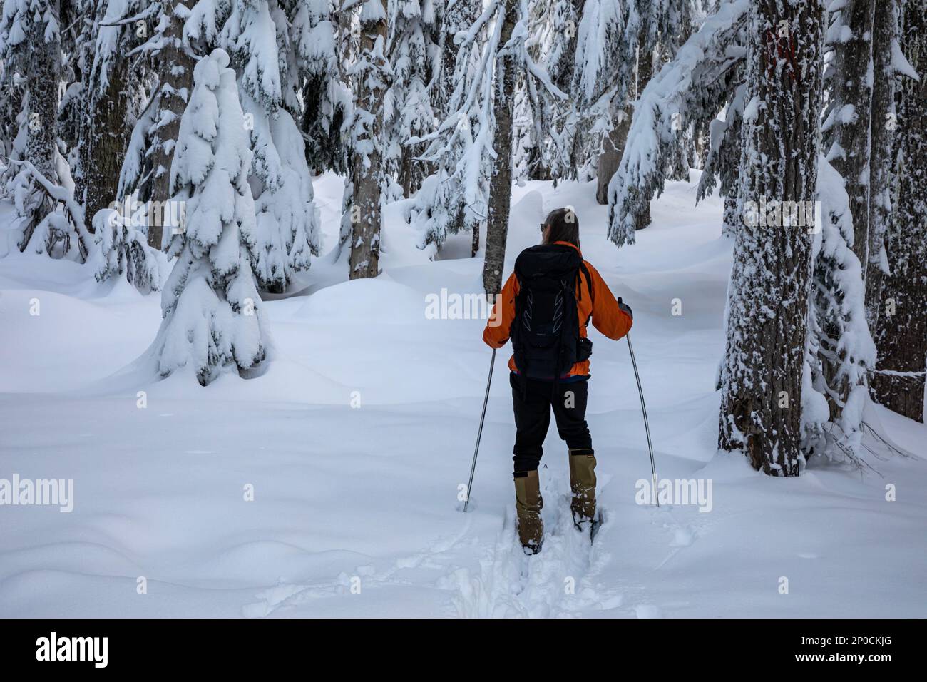 Untracked hi-res stock photography and images - Alamy