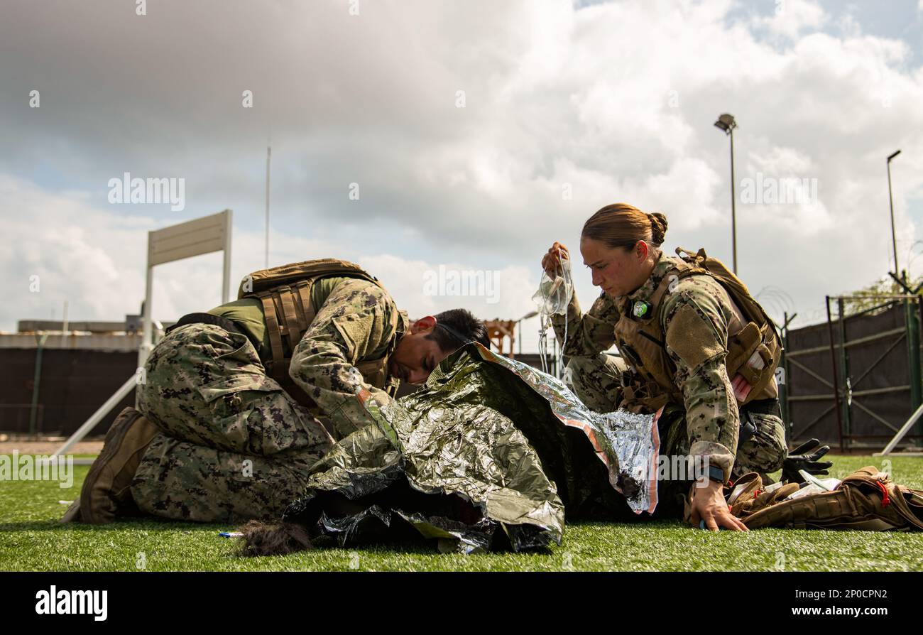 U.S. Navy security Military Working Dog (MWD) handlers perform canine ...