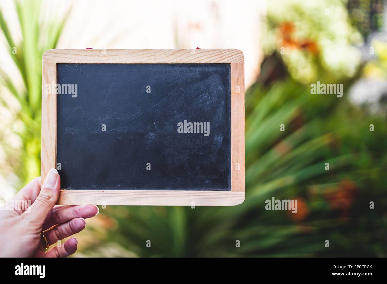 hand holding small blackboard with blank copy space in front of ...