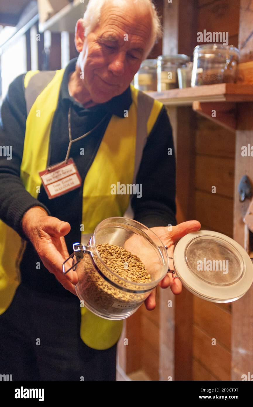 A brewery staff member shows a jar of malted barley, Hook Norton ...