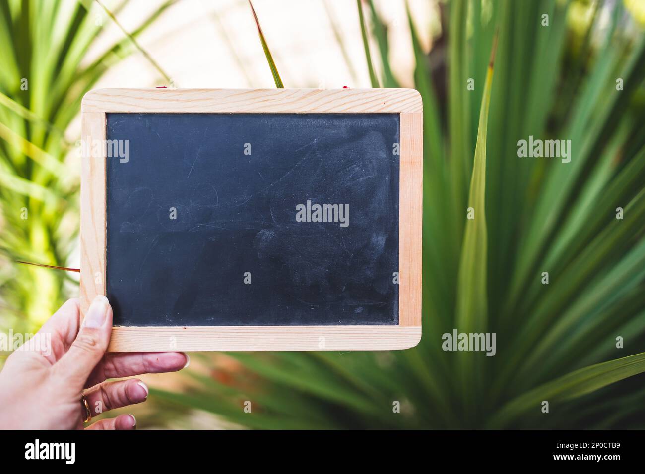 hand holding small blackboard with blank copy space in front of ...