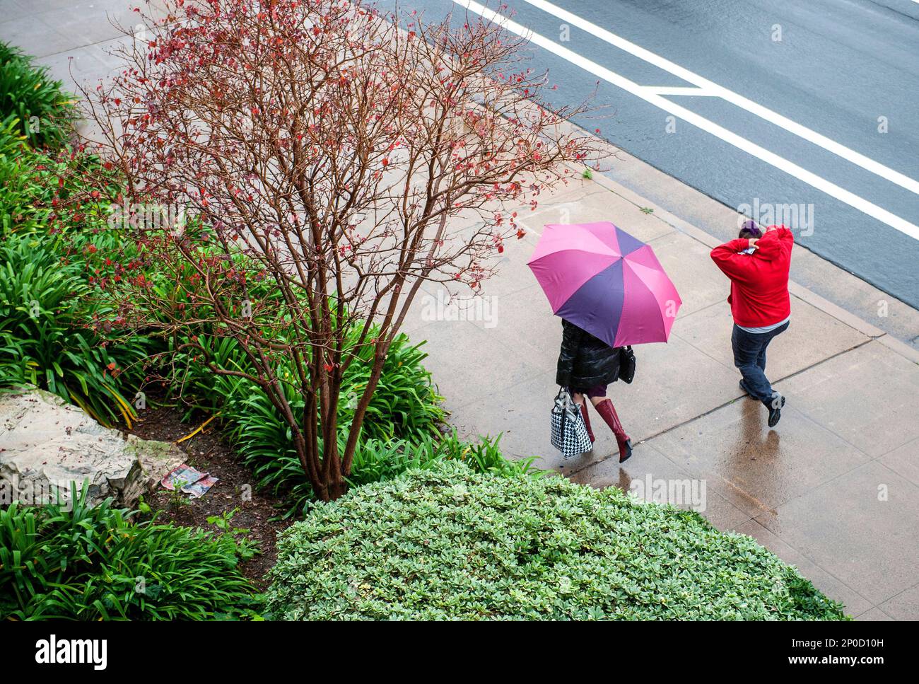 People walk along Civic Center Drive in Santa Ana on Thursday morning ...