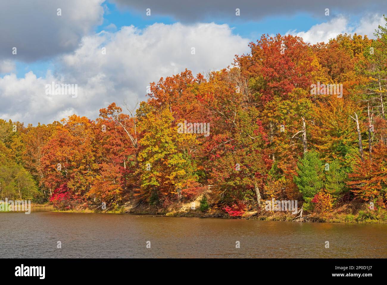 Vibrant Fall Colors on An Autumn Day on Strahl Lake in Brown County ...