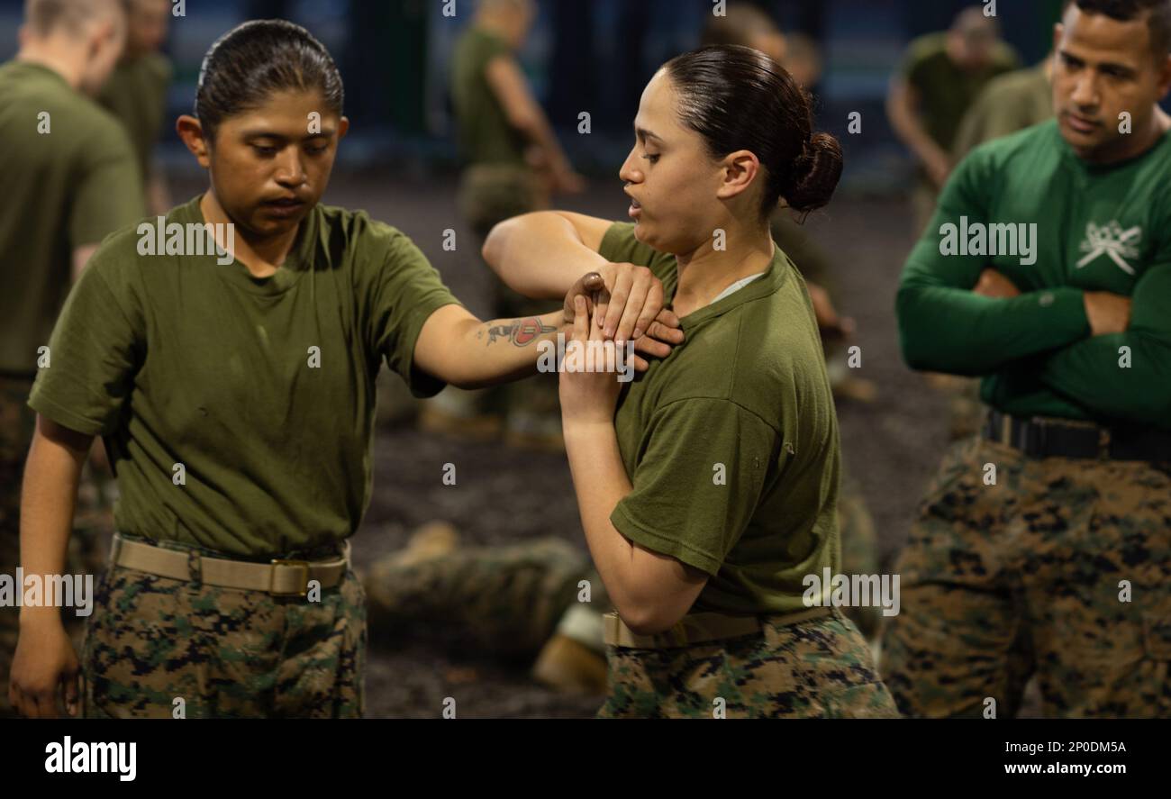 Melee techniques hi-res stock photography and images - Alamy