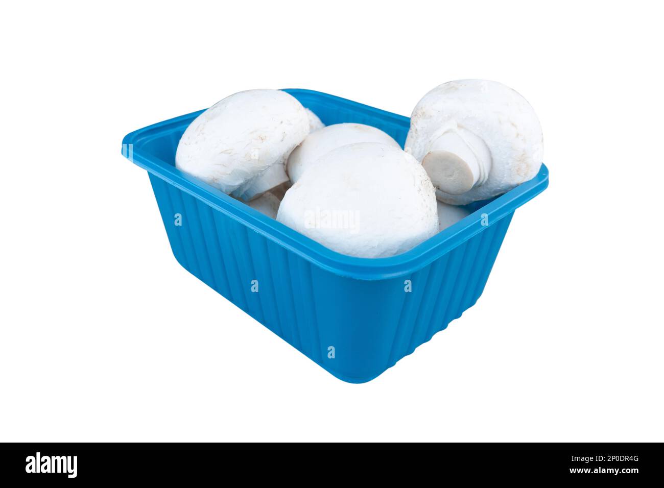 Whole champignon mushrooms in blue plastic container isolated on a ...
