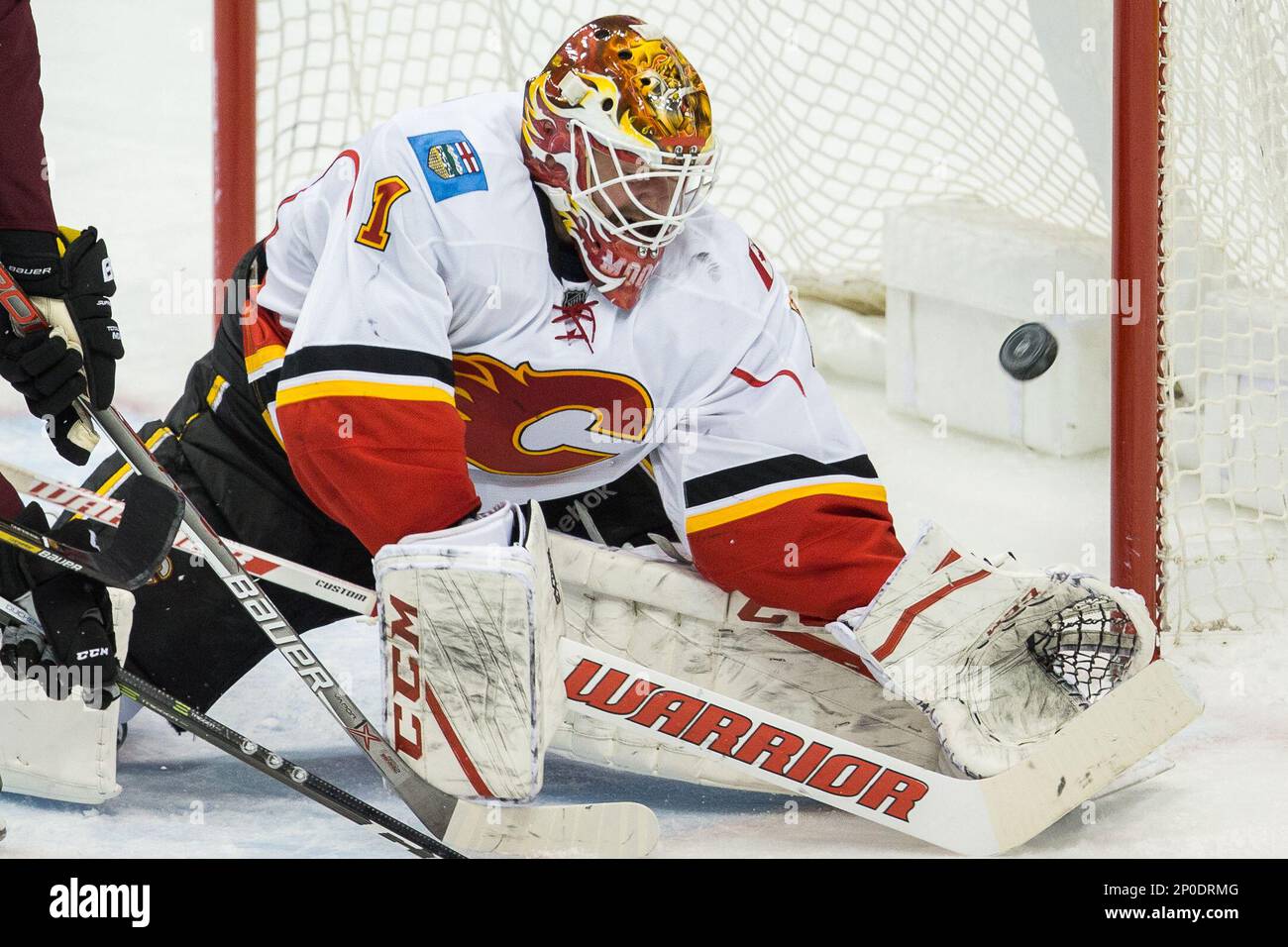 December 27, 2016: Calgary Flames goalie Brian Elliott (1) with the ...