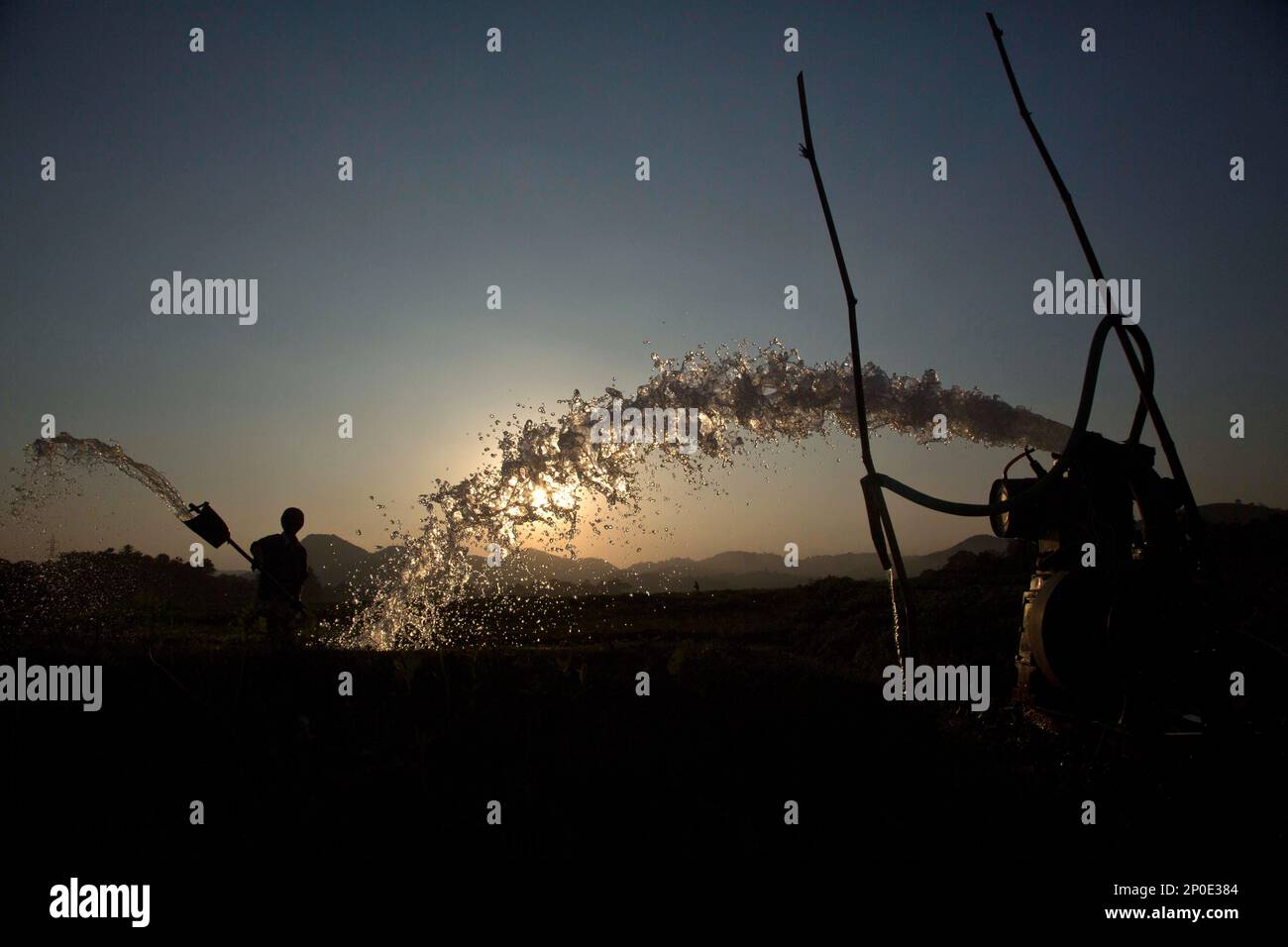 An Indian farmer uses tube-well water to irrigates his paddy field on ...