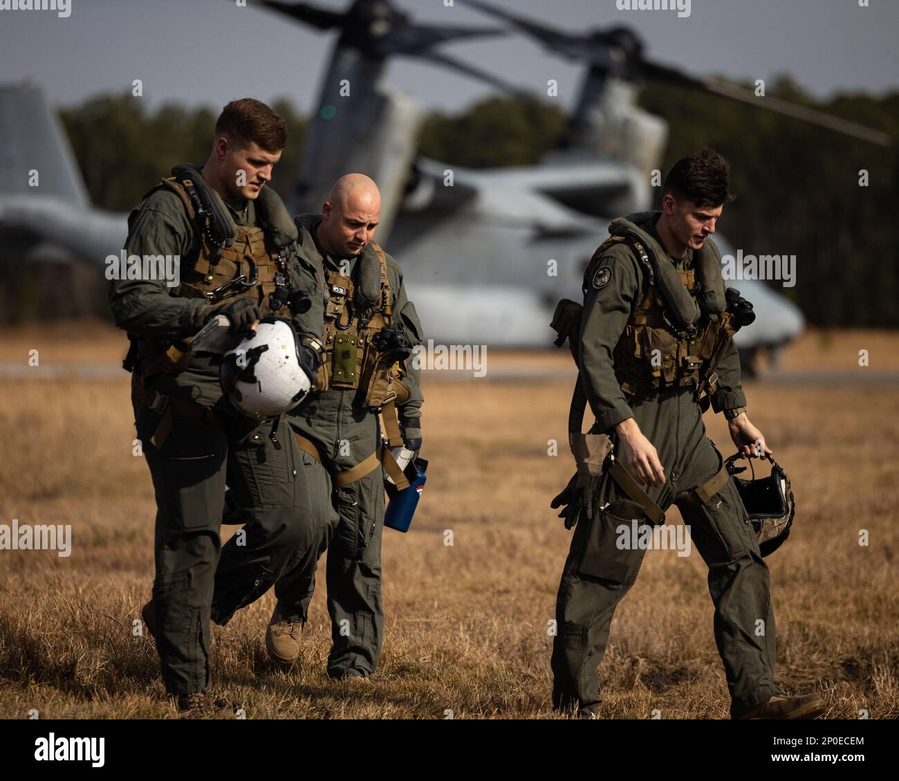 U.S. Marines with Marine Medium Tiltrotor Squadron 365, 2d Marine ...
