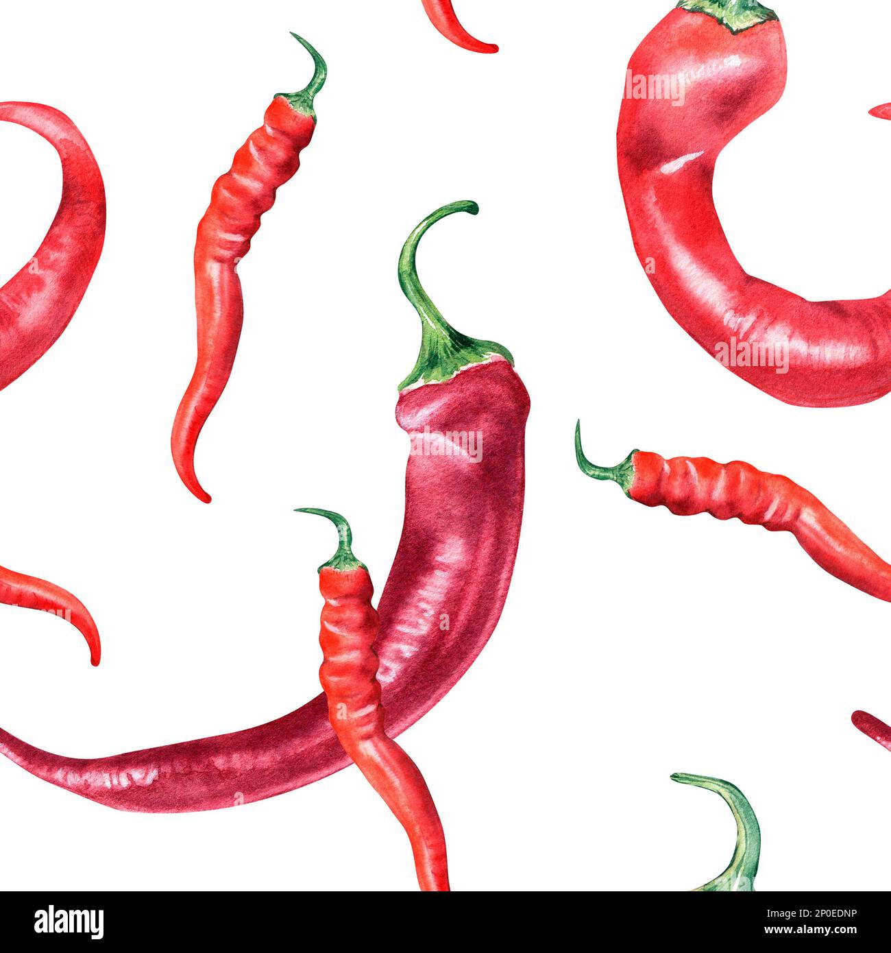 Red chili hot peppers watercolor seamless pattern isolated on white ...